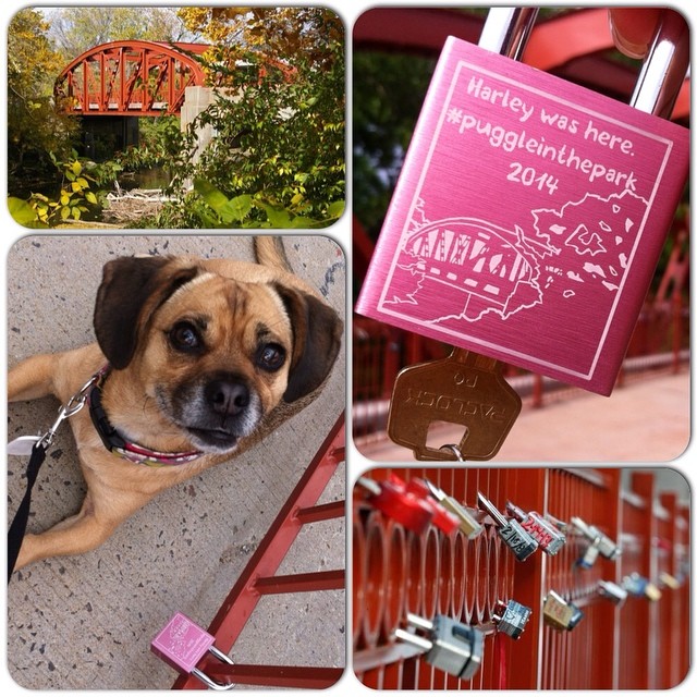 Harley visited the Old Red Bridge in KCParks Minor Park - MakeLoveLocks.com