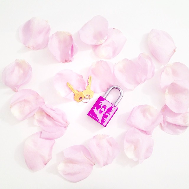 Thank you @makelovelock for our sunsetoverthehudson locks.️ Now, where ...